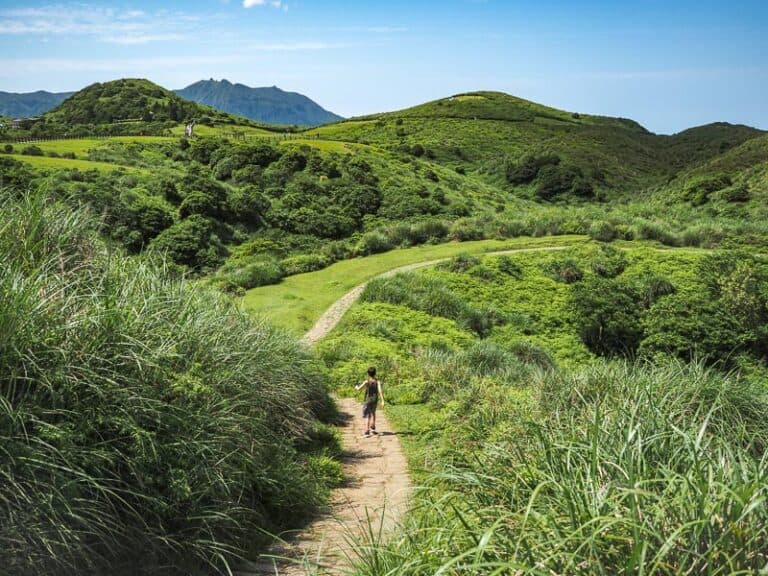 Qingtiangang Grassland: The Best Easy Hike in Yangmingshan NP - Taiwan ...