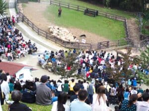 A Travel Guide to Cingjing Farm, Taiwan’s High Mountain Leisure Farm ...