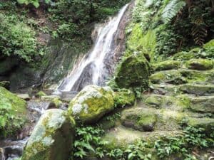 How to Get to Yangmingshan (with sample itineraries) - Taiwan Obsessed