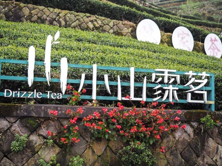 Shizhuo’s Stunning Bamboo Forests, Tea Farms, Sunsets, and Hikes ...