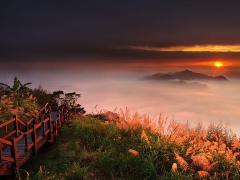 Eryanping & Tea Mist Trail: Two Amazing Hikes En Route to Alishan ...