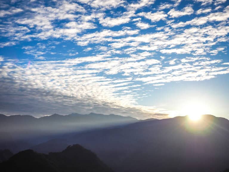 Eryanping & Tea Mist Trail: Two Amazing Hikes En Route to Alishan ...