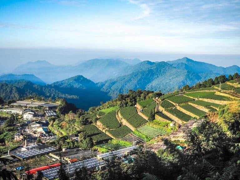Eryanping & Tea Mist Trail: Two Amazing Hikes En Route to Alishan ...