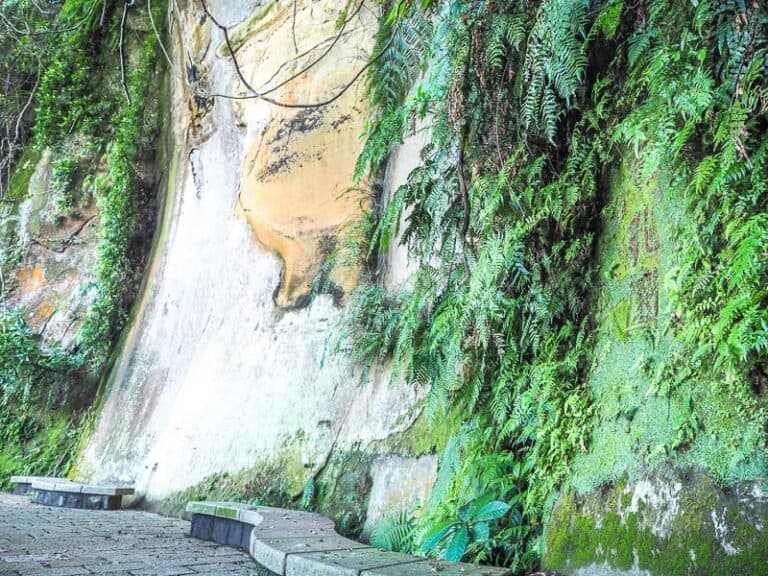 How to Hike Elephant Mountain (Xiangshan) for Epic Taipei Views ...