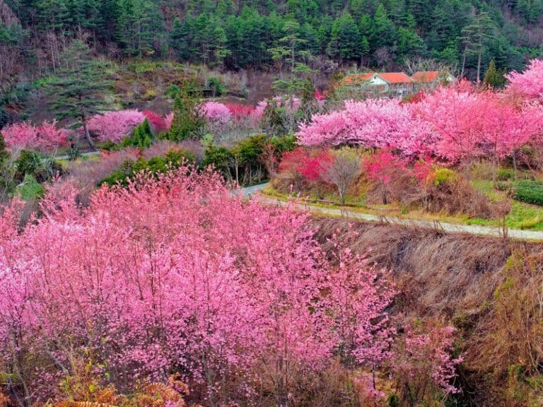 Is Taroko Gorge Open? What to Know for Visiting in Late 2025 - Taiwan ...