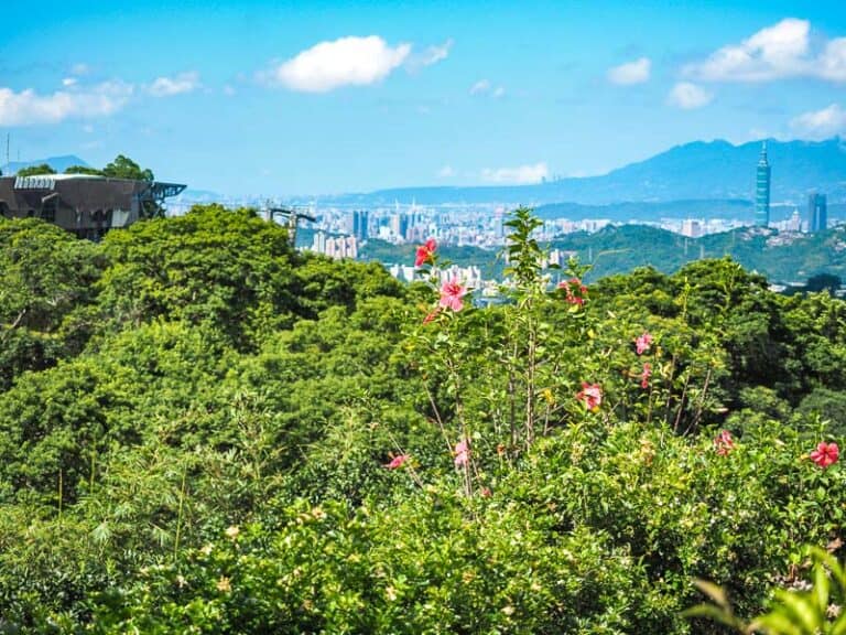A Maokong Gondola Guide: Best Teahouses, Hikes, and Taipei Views ...