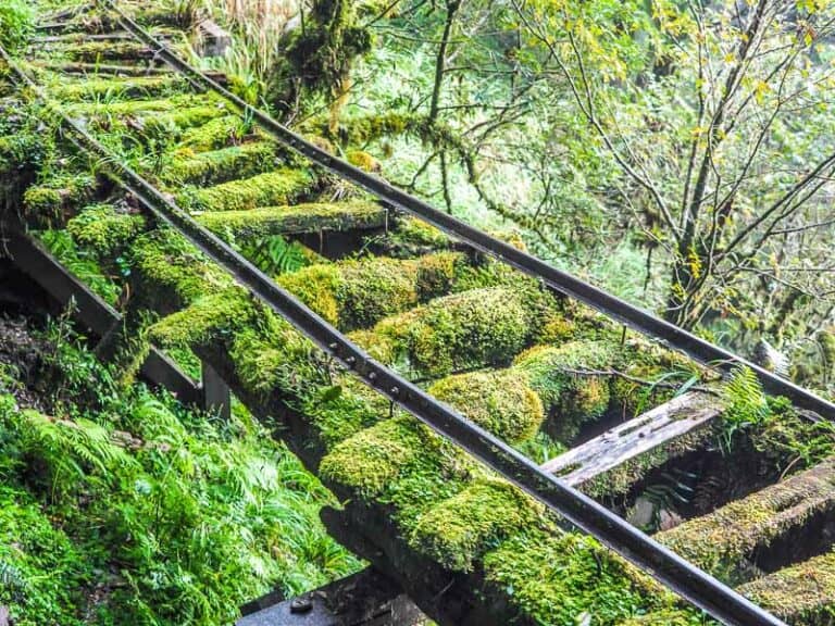 A Travel Guide to Yilan, Taiwan’s Family-Friendly County - Taiwan Obsessed