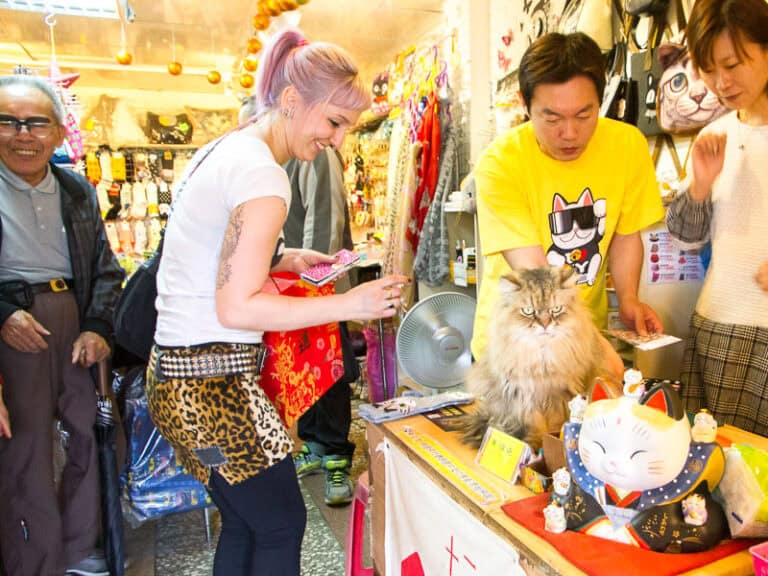 Houtong Cat Village: Taiwan’s Cat-Themed Coal Mining Village - Taiwan Obsessed