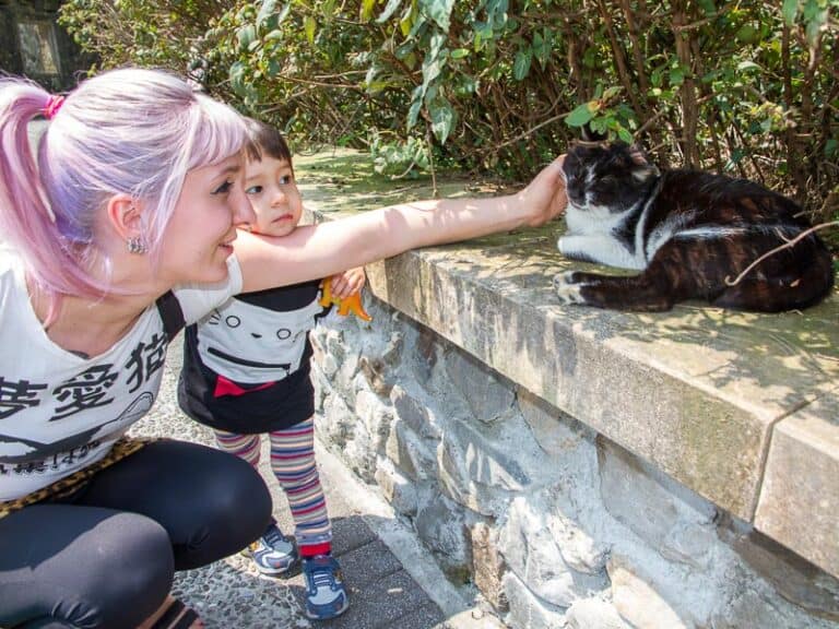 Houtong Cat Village: Taiwan’s Cat-Themed Coal Mining Village - Taiwan Obsessed