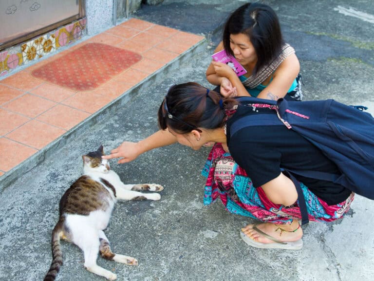 Houtong Cat Village: Taiwan’s Cat-Themed Coal Mining Village - Taiwan ...