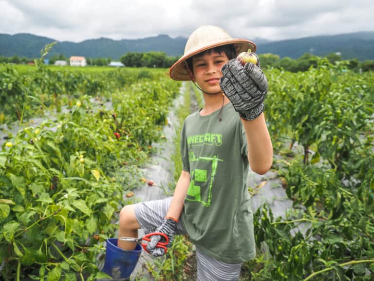 A Travel Guide to Yilan, Taiwan’s Family-Friendly County - Taiwan Obsessed