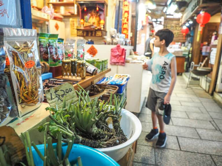 Fenqihu Old Street: Bentos, Bamboo & Fireflies in Alishan Region ...