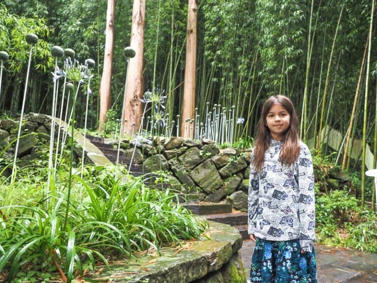 Fenqihu Old Street: Bentos, Bamboo & Fireflies in Alishan Region ...