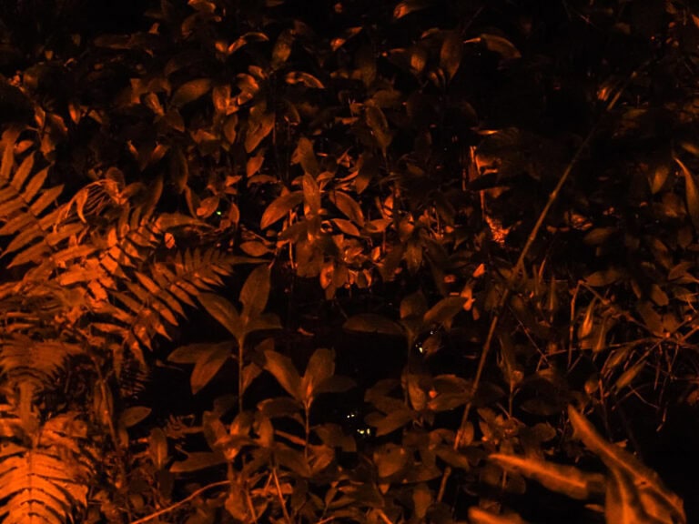 30+ Fun Things to Do in Taipei at Night (incl. Non-Drinking!) - Taiwan Obsessed