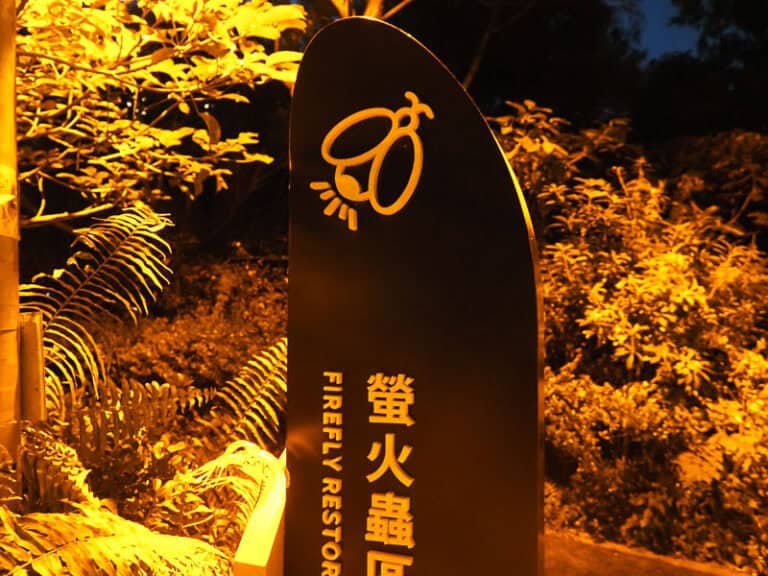 30+ Fun Things to Do in Taipei at Night (incl. Non-Drinking!) - Taiwan Obsessed