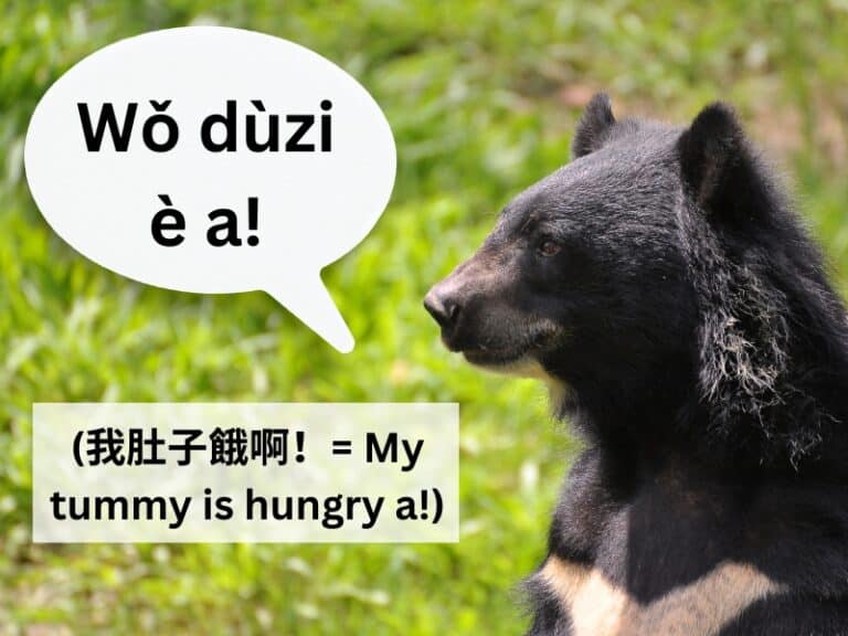 12+ Extremely Useful Mandarin Phrases for Traveling in Taiwan - Taiwan ...