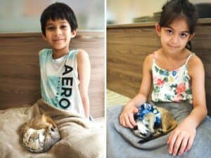 Our Experience Visiting a Meerkat Cafe in Taipei (so cute!) - Taiwan ...