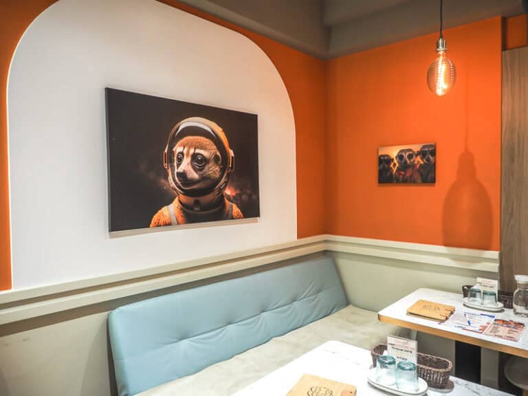 Our Experience Visiting a Meerkat Cafe in Taipei (so cute!) - Taiwan ...