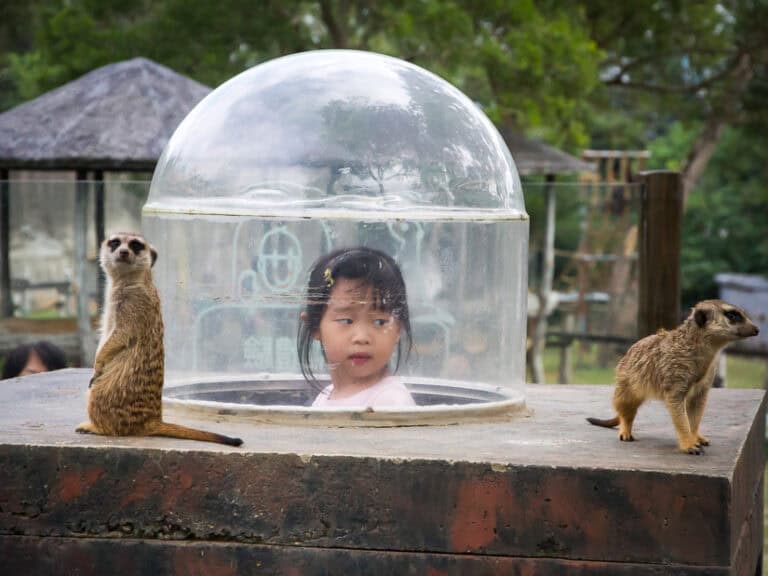 Leofoo Village Theme Park Guide (with Discounted Tickets!) - Taiwan ...