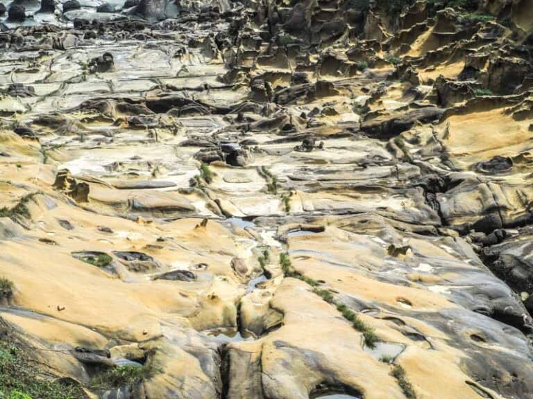 Heping Island Geopark in Keelung: A 2025 Visitor’s Guide - Taiwan Obsessed