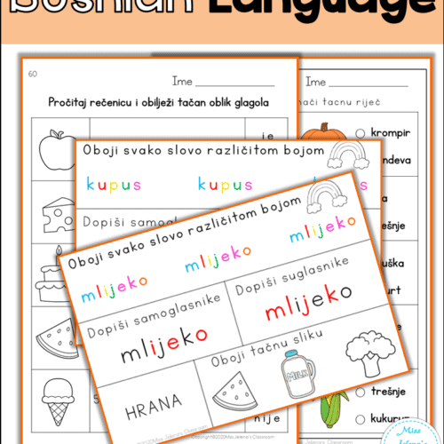 Bosnian Language