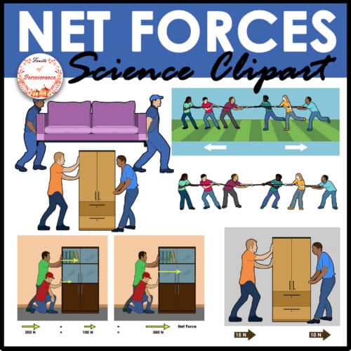 net force in science