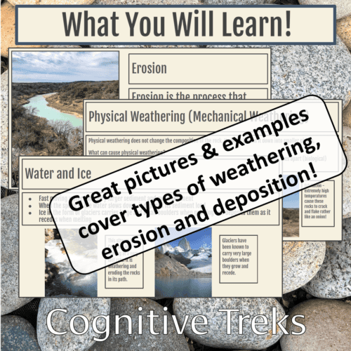 deposition examples for students