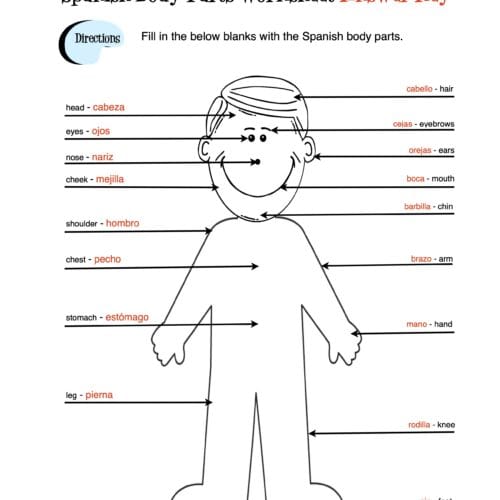 Spanish Body Parts Labeled