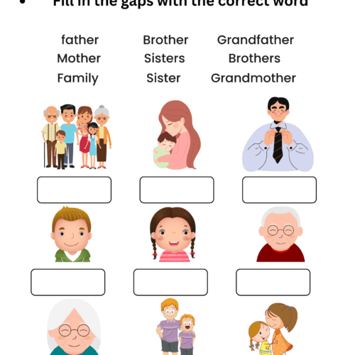 Family Members Flashcards Printable