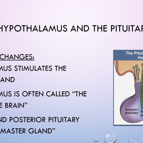 precocious puberty ppt