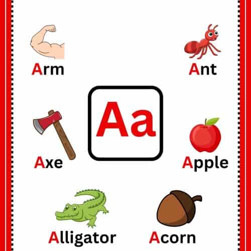 words starting with back