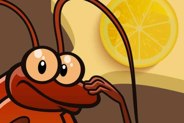Natural Cockroach Repellent: What Works and What Doesn’t - Cockroach Facts