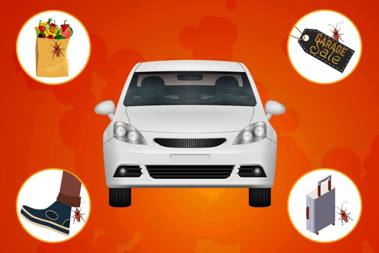 How to Get Rid of Roaches in Car Interiors—the Right Way - Cockroach Facts