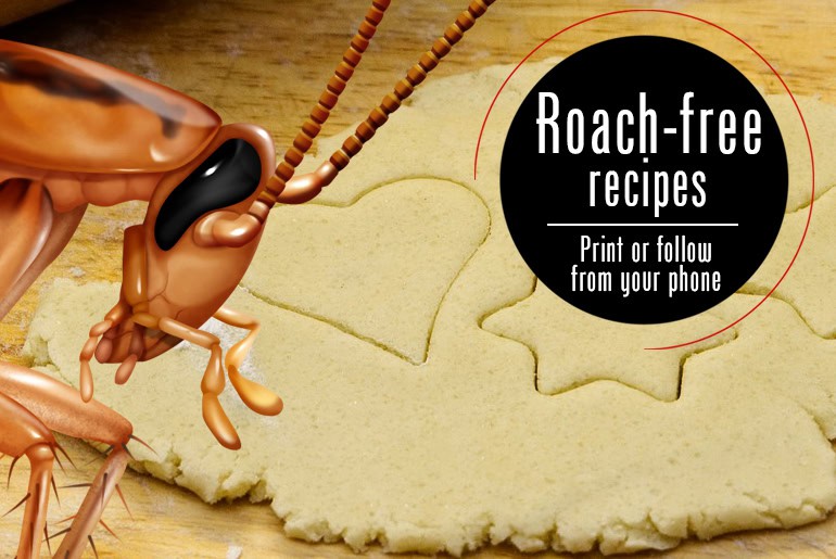 Roach Cookies: An Easy, Natural Recipe for Killing Roaches - Cockroach ...