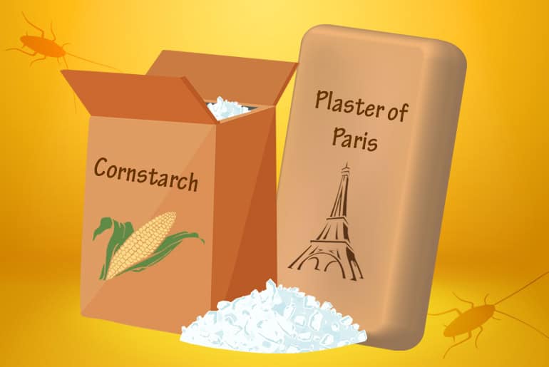 16 Awesome At-Home Remedies for Roaches - Cockroach Facts