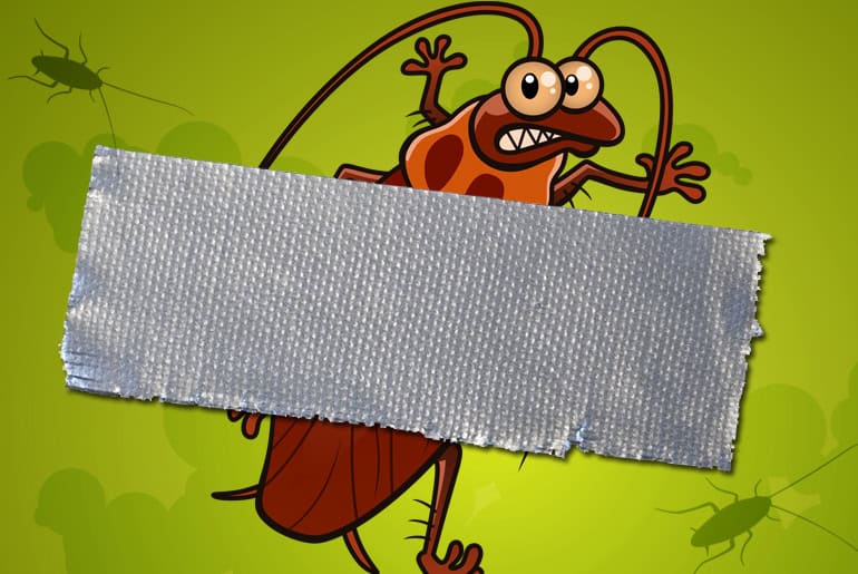 16 Awesome At-Home Remedies for Roaches - Cockroach Facts