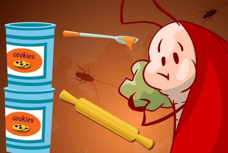 16 Awesome At-Home Remedies for Roaches - Cockroach Facts