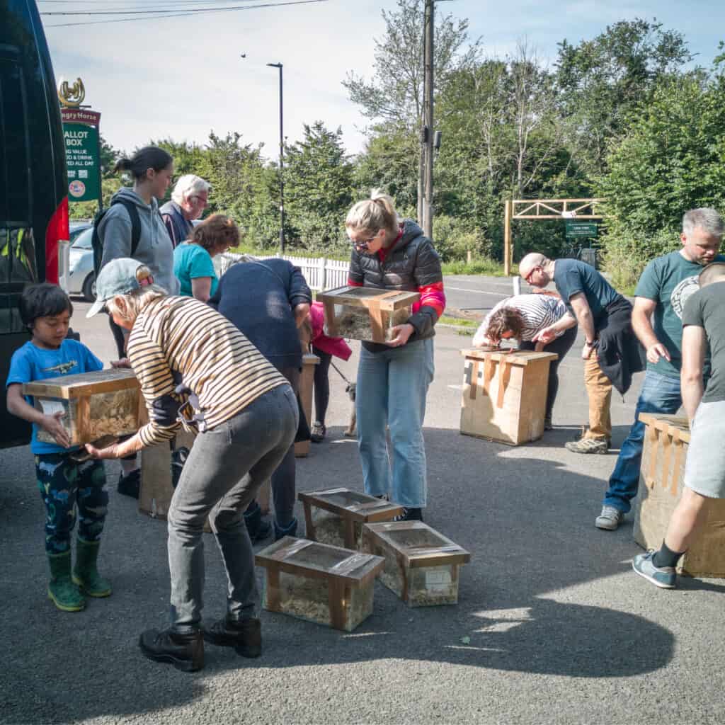 Volunteer – Ealing Wildlife Group
