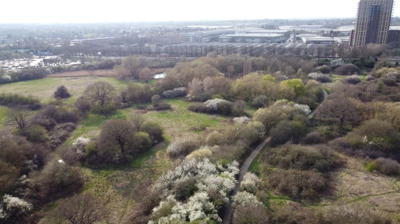 PRESS RELEASE: Ealing Beaver Project backed by Mayor of London’s Rewild ...