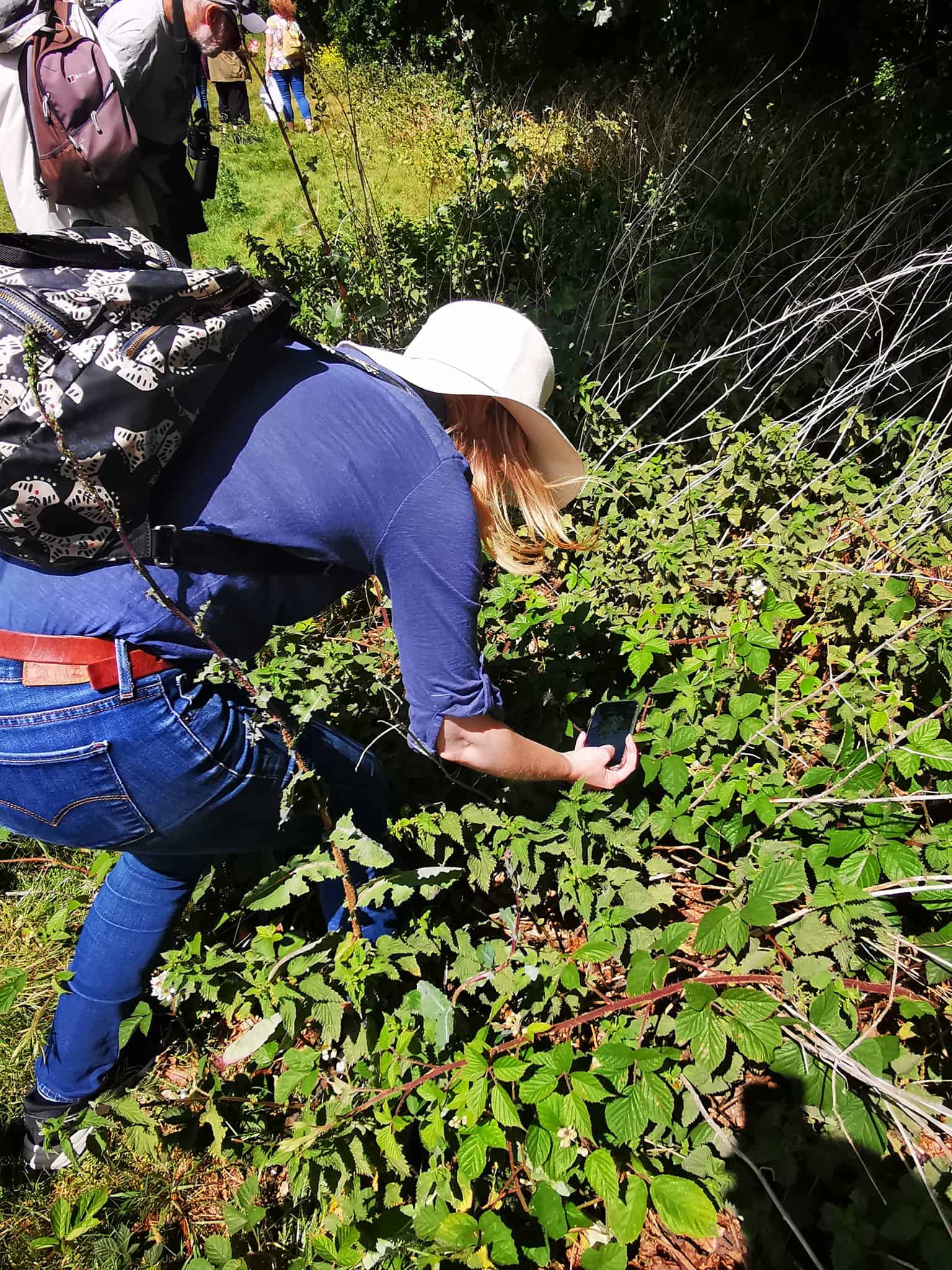 A Nature Walk around Warren Farm – Ealing Wildlife Group