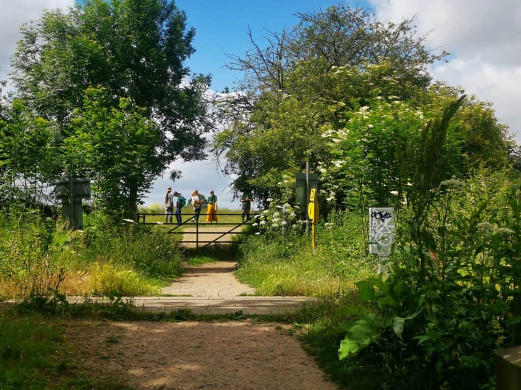 Warren Farm Nature Reserve – Ealing Wildlife Group
