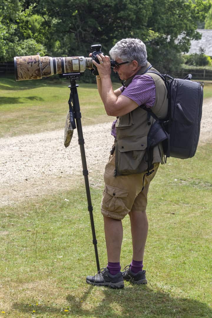 Using Telephoto Lenses – Ealing Wildlife Group