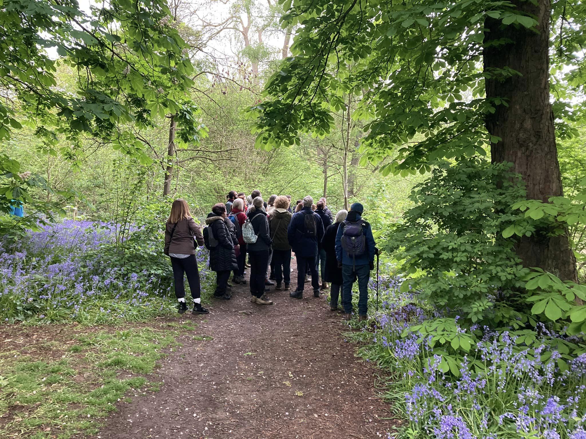 Warren Farm Nature Reserve – Ealing Wildlife Group
