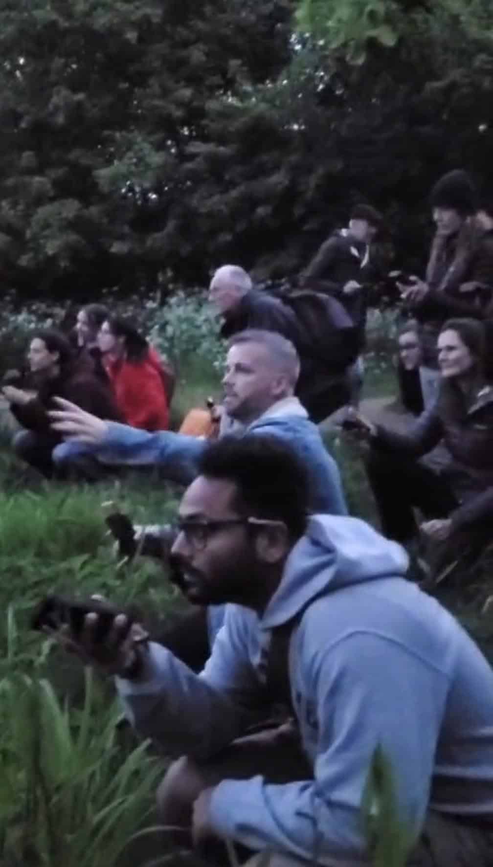 Exploring a New Dimension of Nature with Bat Detectors – Ealing ...