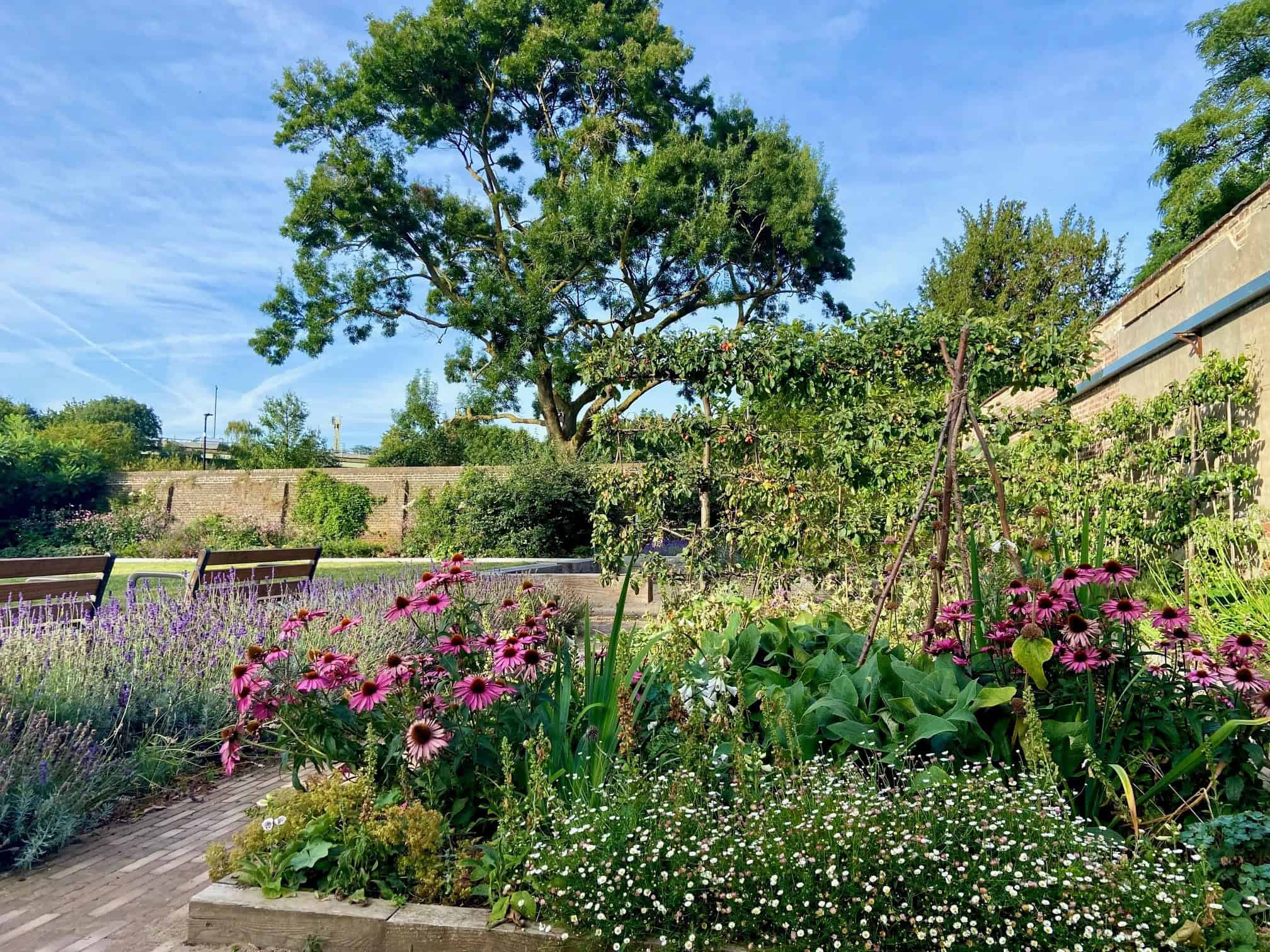 What to see in Boston Manor Park – Ealing Wildlife Group
