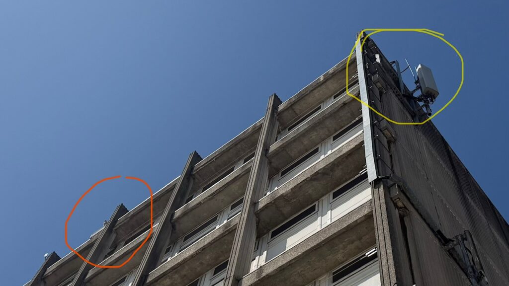 Sad news for our Peregrine Falcons – Ealing Wildlife Group