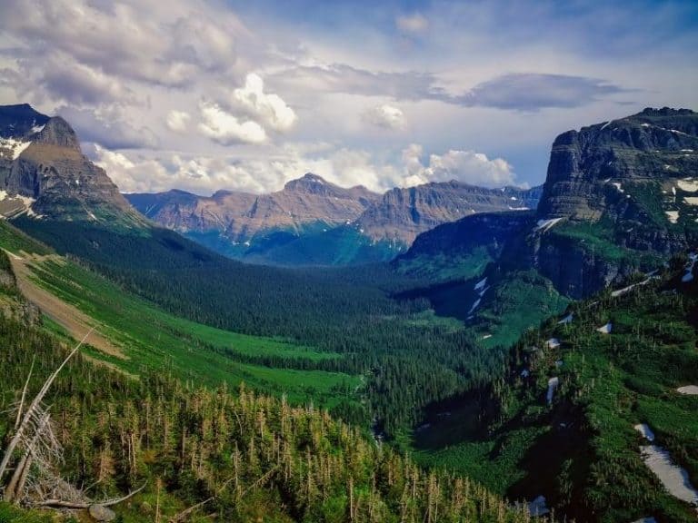 82 Fun Facts About Montana: The Treasure State