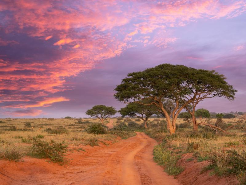 35 Interesting Facts About Uganda: The Pearl of Africa - Fun World Facts