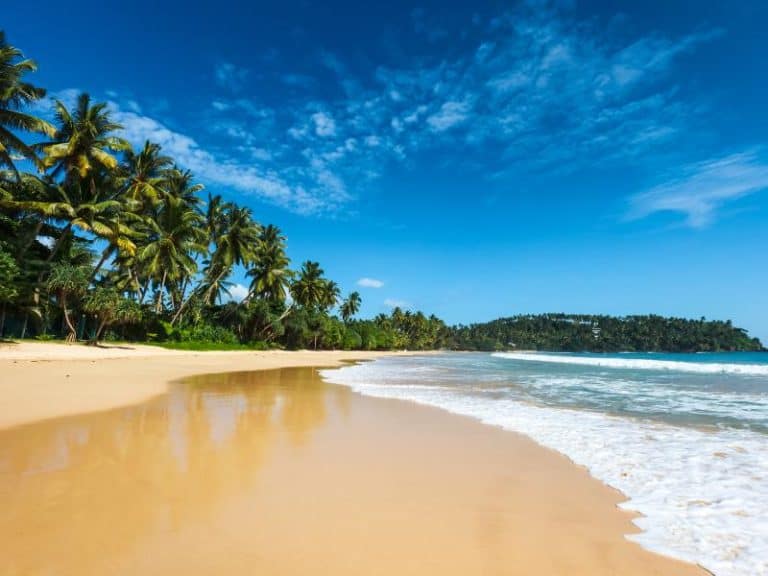 50 Fun Facts About Beaches: Sandy Shores Unveiled - Fun World Facts