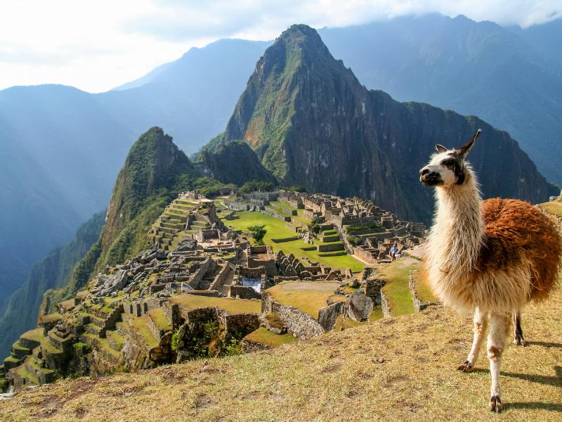 25 Fascinating Facts About Machu Picchu: Lost Inca Wonder